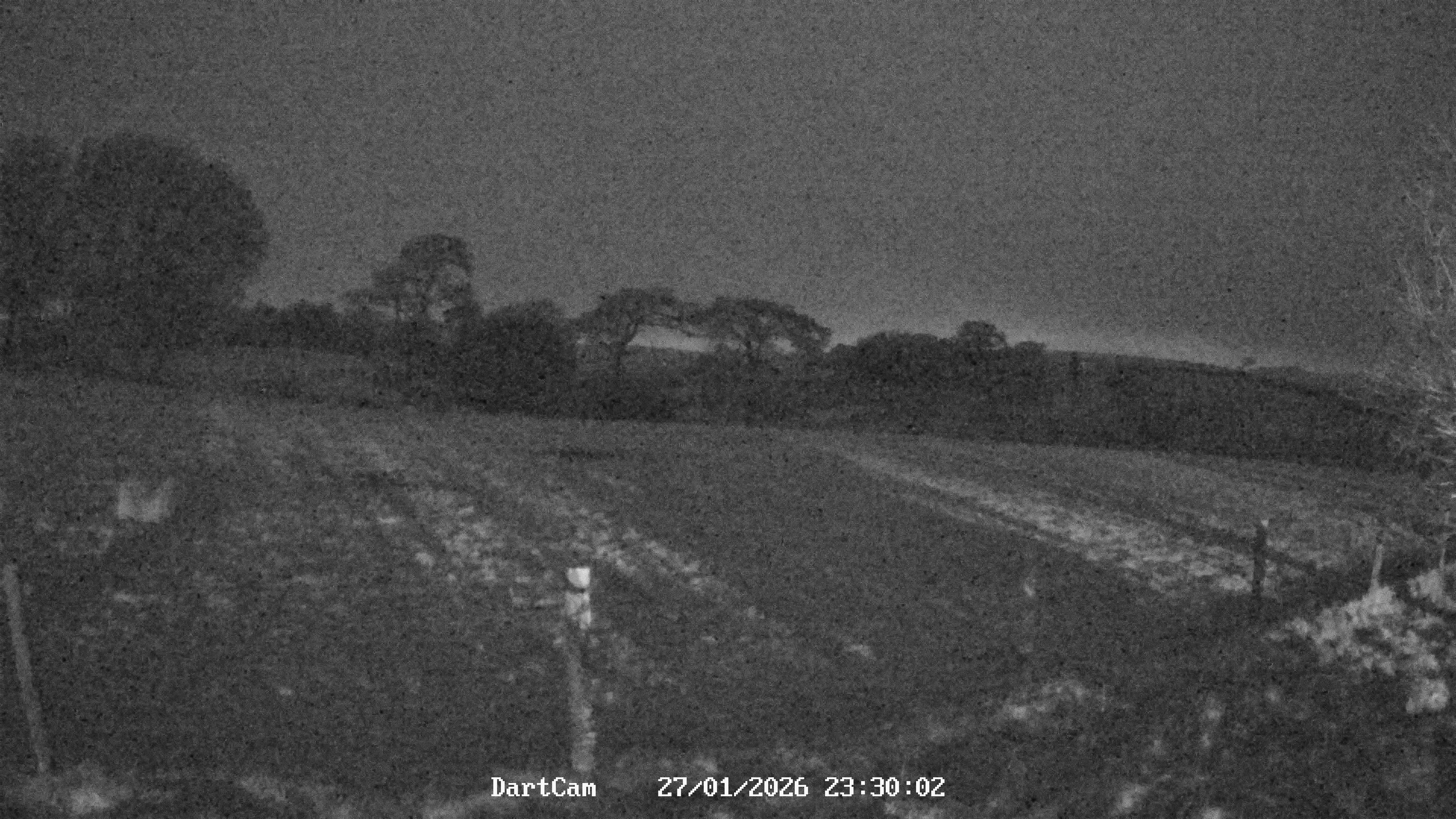Dartmoor Webcam - DartCam